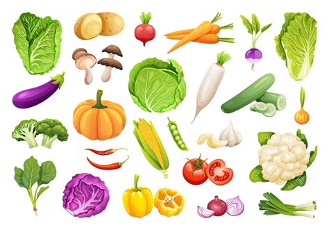 Colección De Verduras Frescas En Estilo De Dibujos Animados 6696105