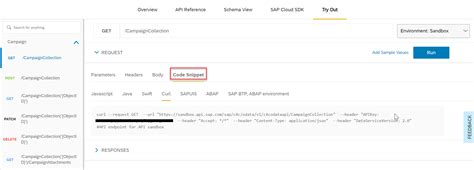 Test Sap Business Accelerator Hub Apis With Curl Sap Tutorials