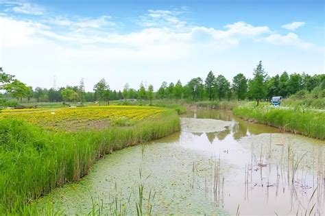 滕头生态旅游区国家5A级景区 尚可名片