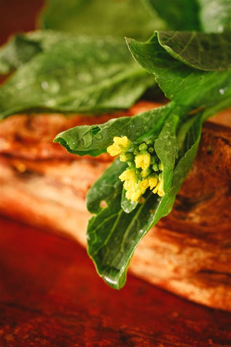 健康生活方式素材 健康生活方式模板 健康生活方式图片免费下载 设图网