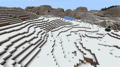 Snowy Plains Minecraft Wiki