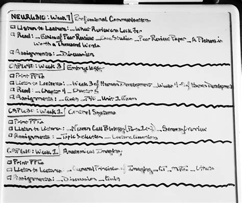 Dreams Highered Learning Graduateschool Anatomicalimaging