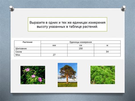 Измерения в биологических исследованиях презентация онлайн