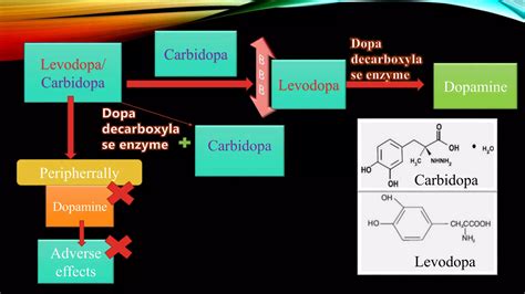 Bioanalytical Method Development And Validation Pptx