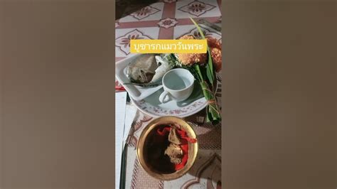 คาถาบูชารกแมว Youtube