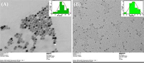 TEM Image Of A Sample 1 B Sample 2 Along With Histogram Plot Inset