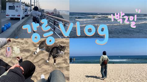 여행 Vlog 4년만난 남자친구랑 1박 2일 동안 강릉가서 먹기만 하는 여행 강릉맛집 강릉여행 Youtube