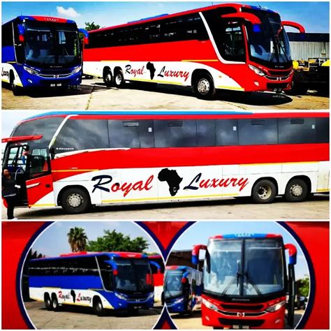 Royal Africa Royalluxurybus • Instagram Photos And Videos