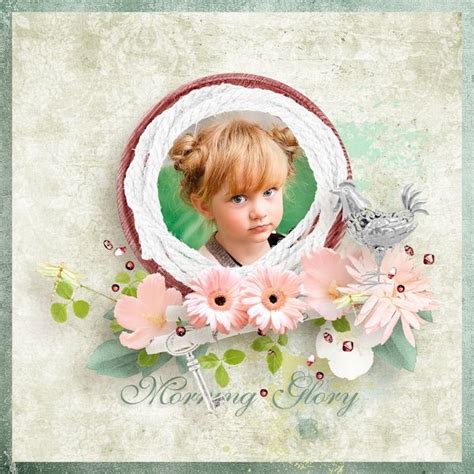 Morning Glory By Booland Designs Shop Booland Designs Photo By