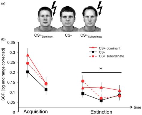 Experiment 2 A Aversive Learning Fear Conditioning Through Paring Download Scientific