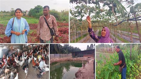 পরিবারের জন্য প্রবাসী ভাইরা কত পরিশ্রম করে। মালয়েশিয়ায় গরু ছাগল এবং হাঁস মুরগীর খামার। Youtube