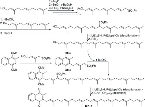 Convergent Synthesis Of Mk 7 Download Scientific Diagram