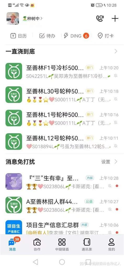 蚂蚁森林合种感恩篇 知乎