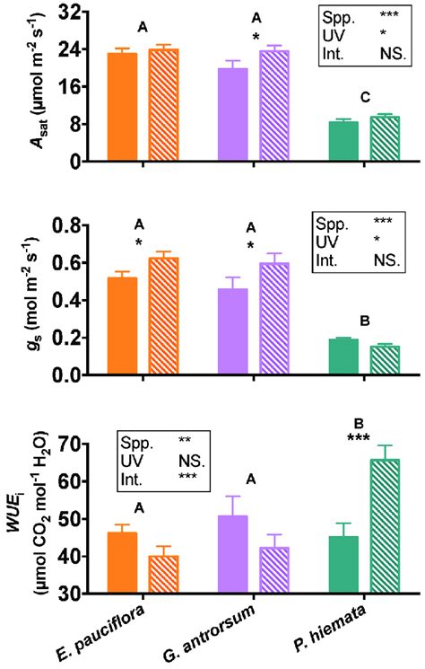 Top Light Saturated Photosynthetic Rates A Sat Middle Light