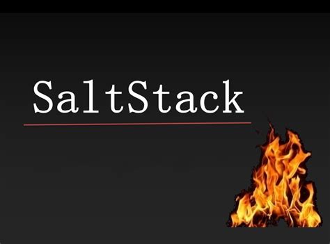 初探SaltStack 算法之道
