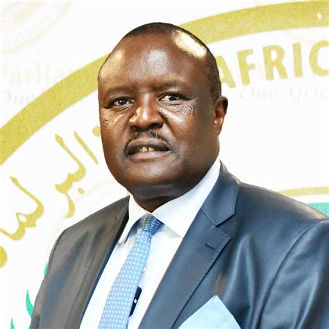 Statement By The Pan African Parliament On The Eve Of The Elections In The Republic Of South