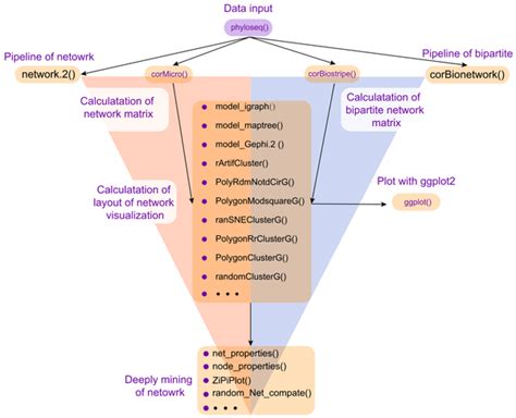 Imeta R Ggclusternet