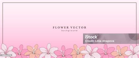 옅은 분홍색 꽃무늬 배경에 파스텔 색상의 귀여운 백합이 있습니다 텍스트 사진 엽서 졸업장 및 프레젠테이션의 배경 0명에 대한