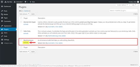 How To Install And Set Up Wordpress Multisite In Woocommerce
