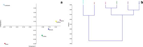 PCA Plot A And Clustering Analysis B Download Scientific Diagram