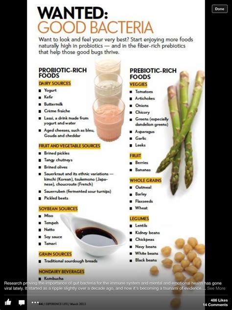 The 25 Best Foods With Probiotics Ideas On Pinterest Gut Health Foods Probiotics For Gut