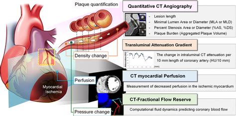 Schematic Diagram Summarizing The Emerging Techniques For Ct Based Download Scientific Diagram