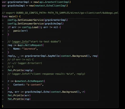 panic when define a echo service · issue 2084 · apache dubbo go · github