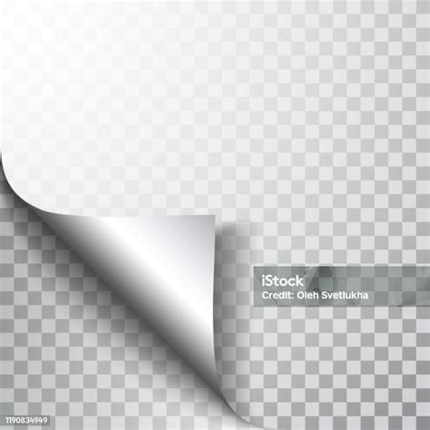 말린 모서리와 그림자가 있는 용지 페이지입니다 설계용 템플릿입니다 설정 벡터 일러스트레이션 가장자리에 대한 스톡 벡터 아트 및 기타 이미지 Istock