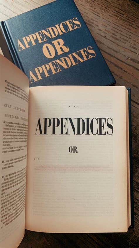 Appendices Or Appendixes Grammar Beacon
