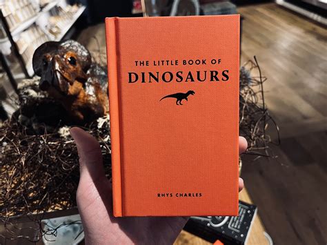 Dino Fossils Uk Dino Fossils Uk Added A New Photo