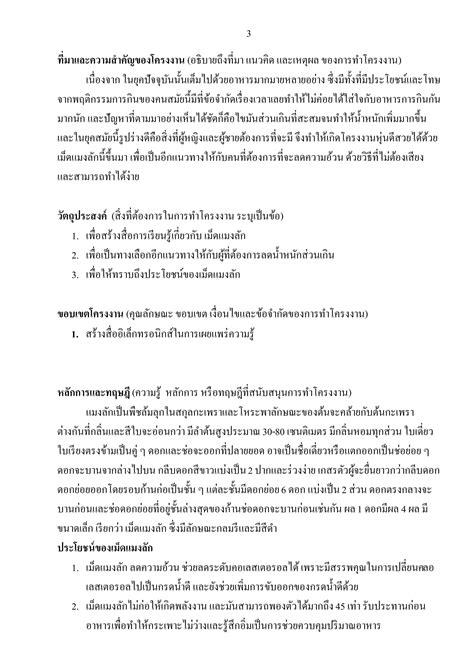 โครงงานคอมพิวเตอร์ Pdf