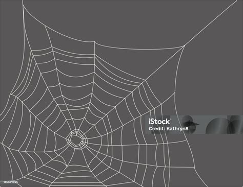 Gossamer Web Stock Illustration Download Image Now Spider Web