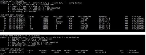Segment Routing Extension With Igp Is Is In Ocnos Ip Infusion