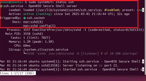 How To Install Openssh Server On Ubuntu 24 04