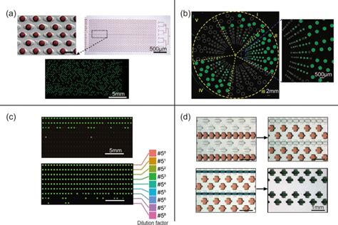 Slip Driven Microfluidic Devices For Nucleic Acid Analysis Pmc
