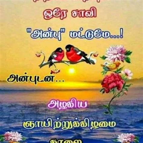 Muthu Samy Muthusamy 8825 On Threads