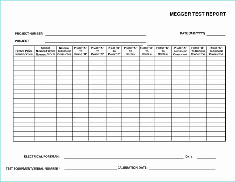Megger Test Report Template