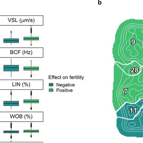 Sperm Motility Features Of Fresh And Capacitated Sperm A Quantile Map Download Scientific