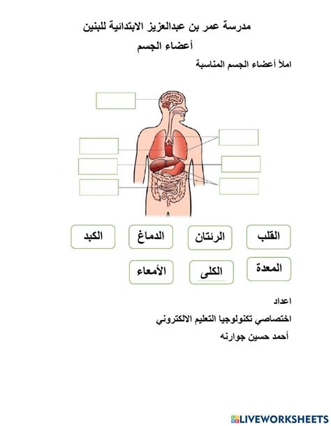 أعضاء جسم الانسان 5360561 Ahmadjawarneh Live