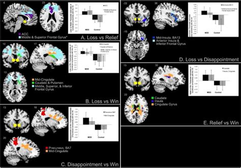 Ventral Striatum Functional Connectivity During Rewards And Losses And