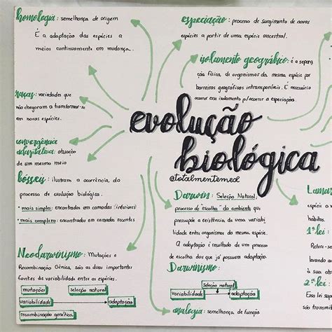Mapa Mental Darwin E Lamarck Ologia