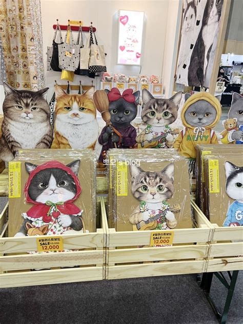 벡스코 궁디팡팡 캣페스타 2023부산궁팡 고양이박람회 네이버 블로그