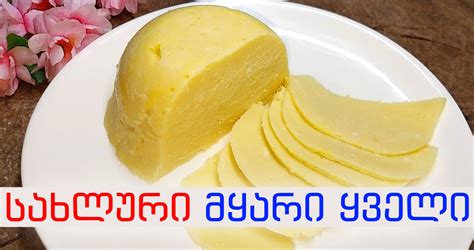 მყარი ყველი სახლის პირობებში რჩევები ვივიენისგან