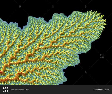 The Fractal Geometry Of Nature Updated Ed Benoit B Fractal Geometry