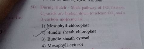 During Hatch Slack Pathway Of Mathrm{co} Fixation Mathrm{c}{4} Acid