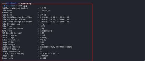 Using Exiftool In Kali Linux For Metadata Extraction Techarry