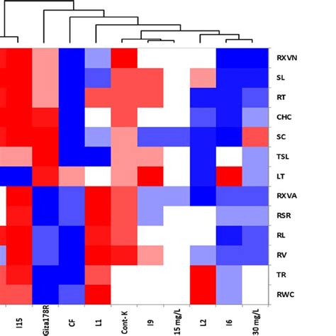 Heatmap Of The Correlation Analysis Among The Implemented Conditions Download Scientific