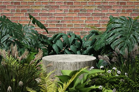 3d 렌더링 플랫폼과 자연석 연단 배경 나무와 꽃 배경 벽돌 시멘트 벽 제품 스탠드 디스플레이 광고 화장품 미용 제품 또는 스킨케어 빈 라운드 스테이지 0명에 대한 스톡