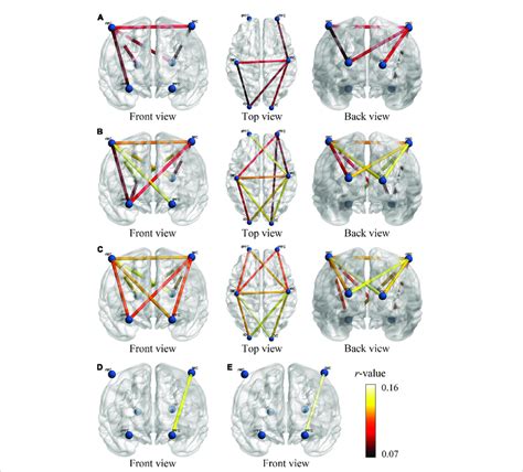The Functional Connectivity Visual Map Under Different Viewing Angles