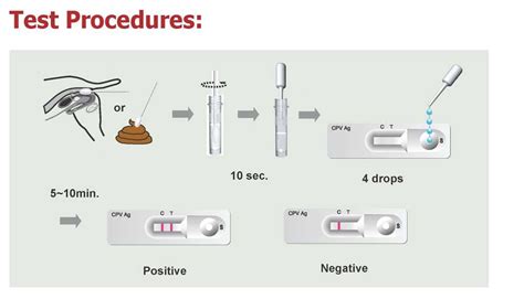 The Definitive Guide To The PVB Test Procedure A Step By Step Breakdown